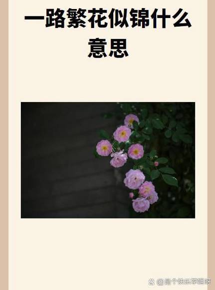 繁花歌词是什么意思图标