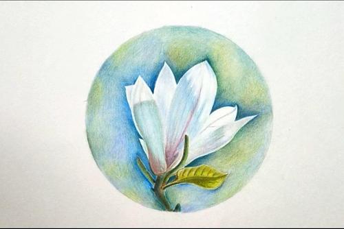 彩铅怎么表现出白色图标