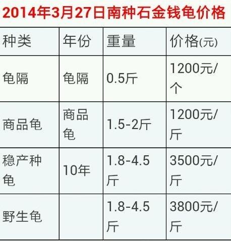 2020年金钱龟苗价格