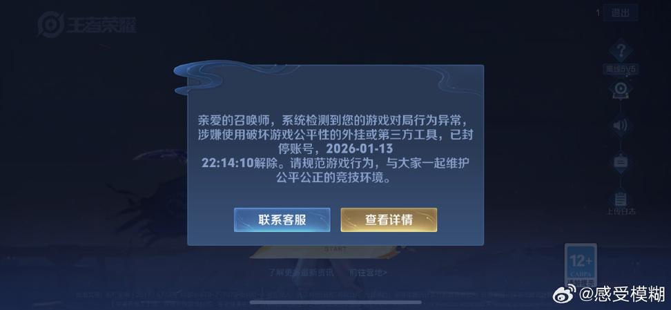 王者行为异常什么意思截图