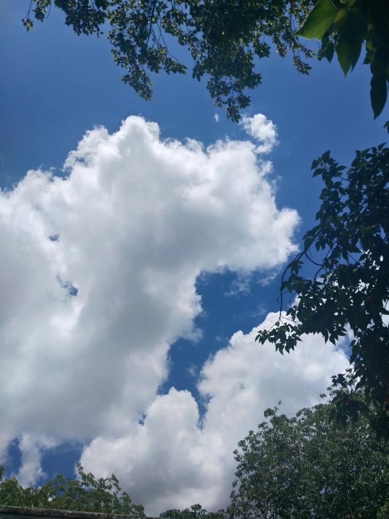 晴空辅助器工具图标
