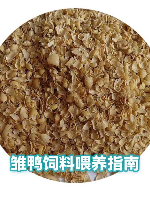 雏鸭怎么喂养图标