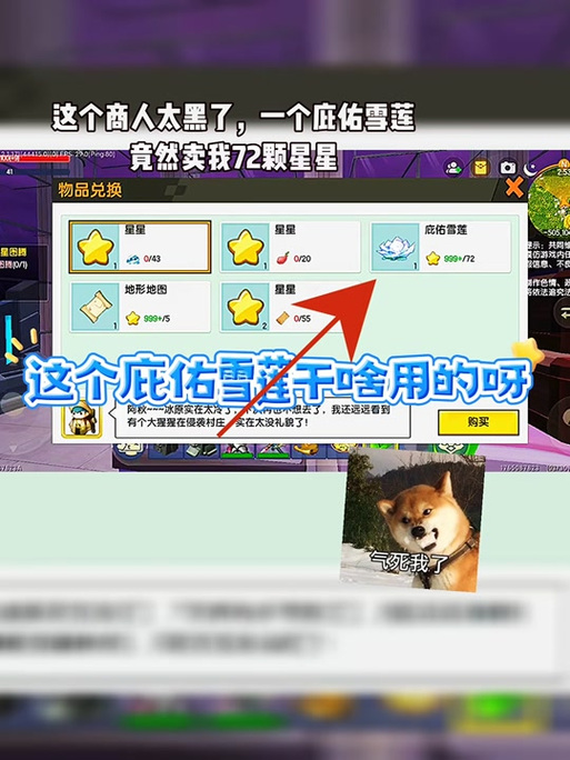 迷你世界装备庇护是什么意思图标