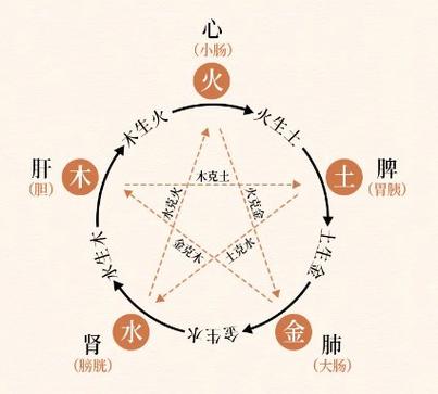 五行中金克谁图标