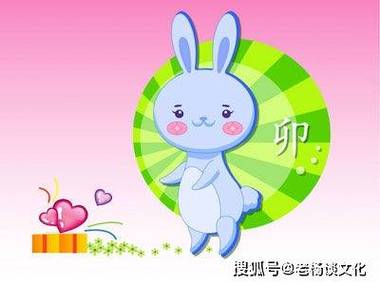 金鸡一肖八码默认版截图