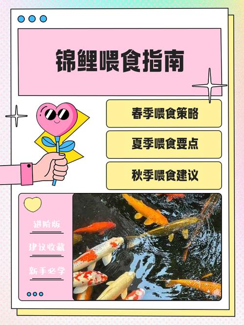 锦鲤吃撑了应急处理图标