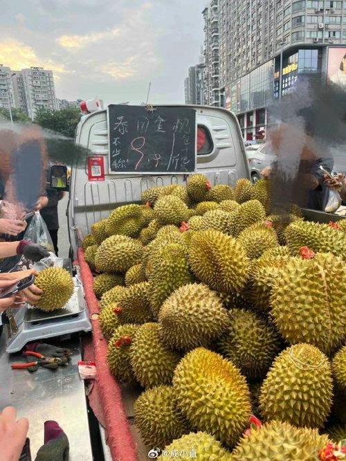 榴莲忘返卖榴莲图标