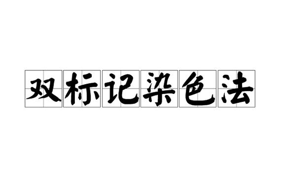 下一个软件出现2个图标图标