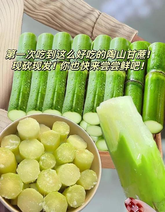 我的世界甘蔗快速生长图标