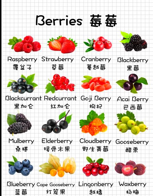 莓果类水果图标