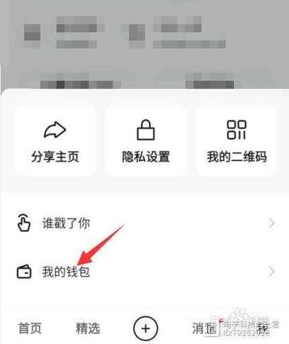 快手支付设置在哪里找图标