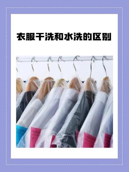 干洗店到底是干洗还是水洗的图标