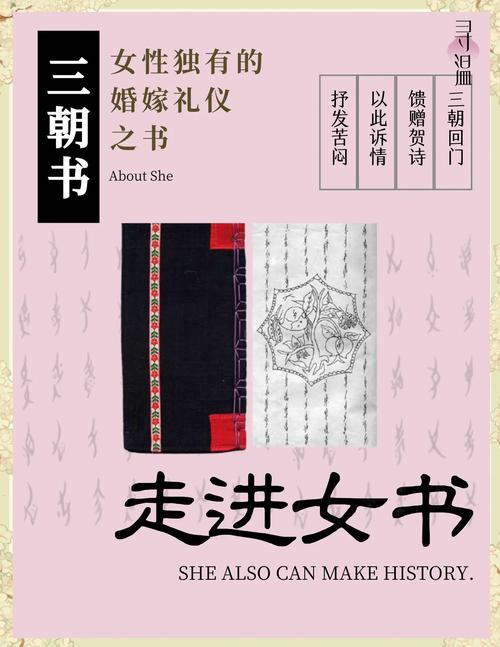 女生发了个aq什么意思图标