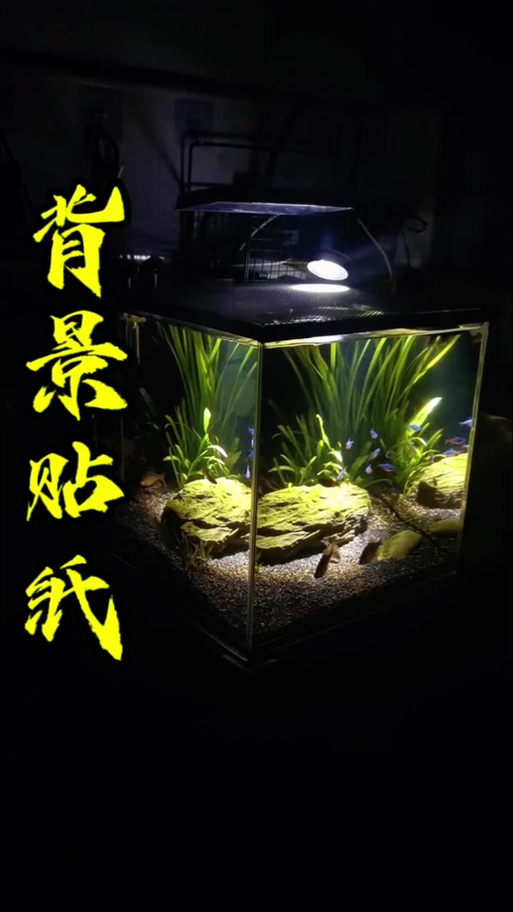 鱼缸贴背景还是不贴好图标