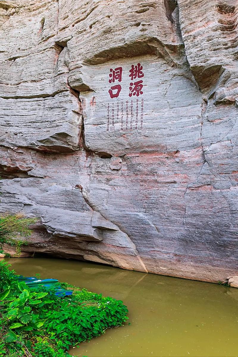 永安行app下载安装图标