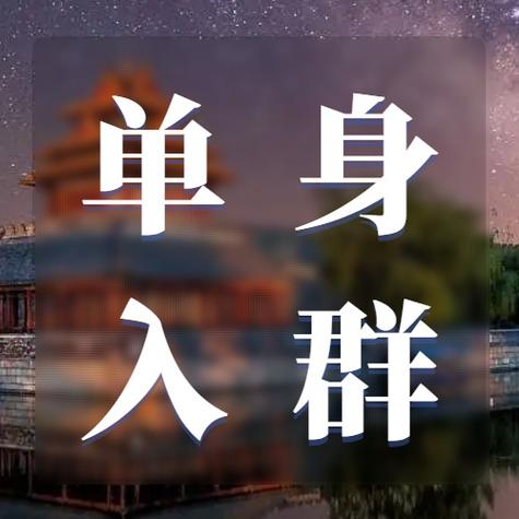 单身群网截图