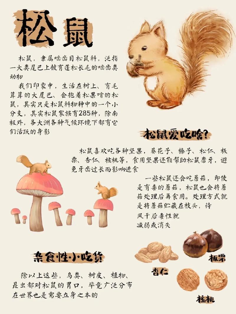 松鼠在玄学中的解释图标