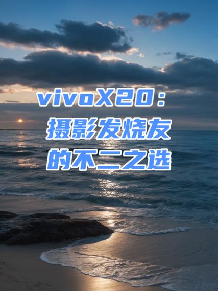vivox20插内存卡多少钱图标