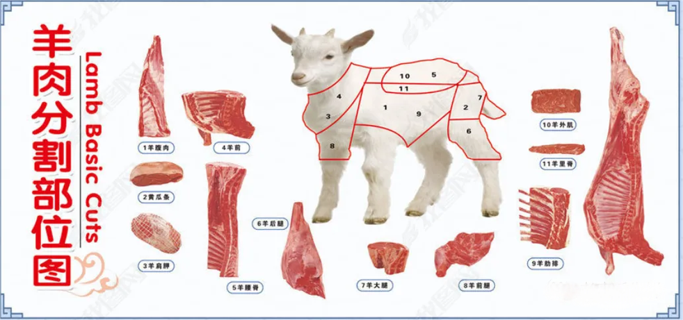 羊肉串是羊的哪个部位图标