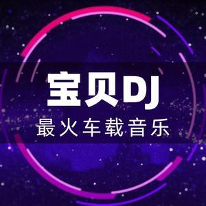 南昌dj小伟宝贝dj图标