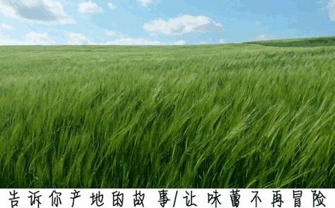 最耐寒的韭菜品种图标