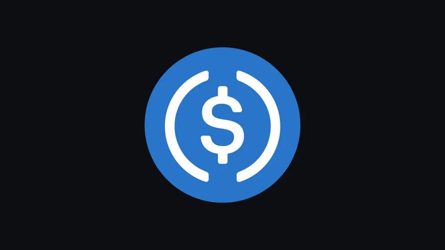 usdc币是什么币图标
