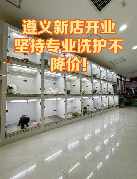 一个新店多久能养起来图标