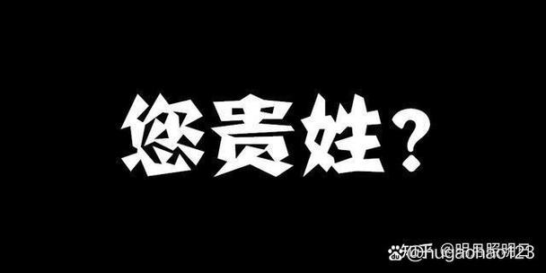 问贵姓直接回答姓什么
