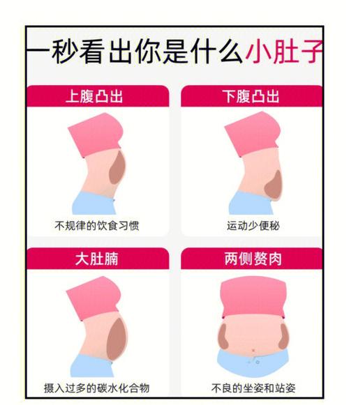 肚子大的原因图标