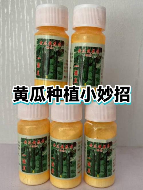 种黄瓜最简单方法图标