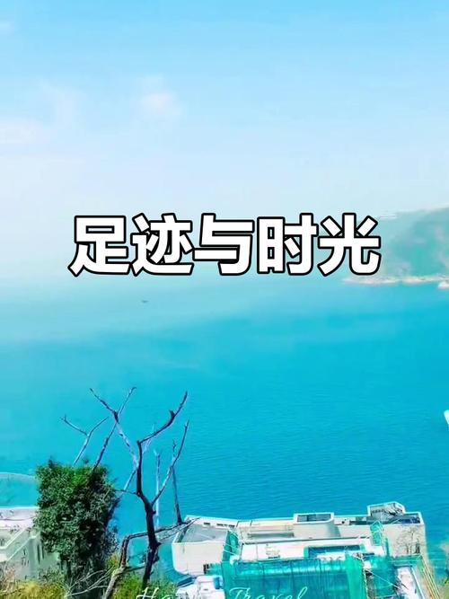 历史轨迹查询图标