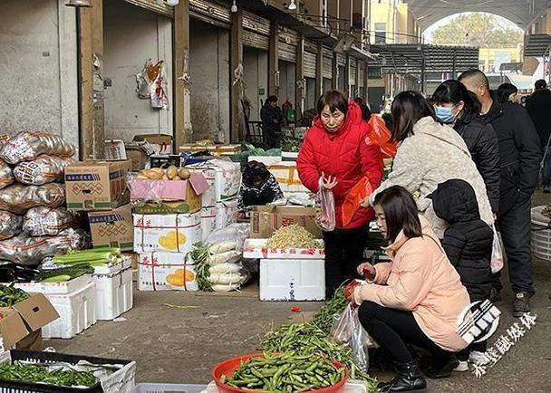 小城的幸福生活图标