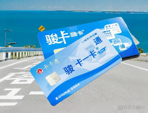 骏卡查询卡状态查询图标