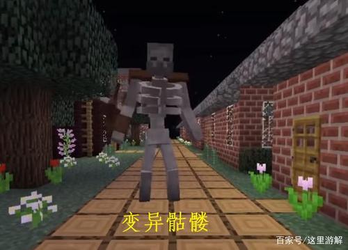 我的世界变异骷髅护甲图标