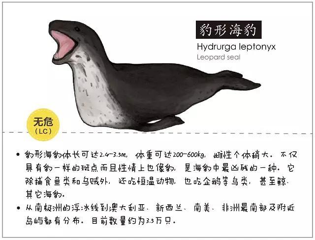 海豹0607海豹区别图标