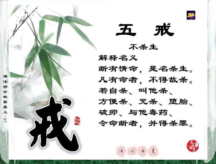 公司八大戒律图标