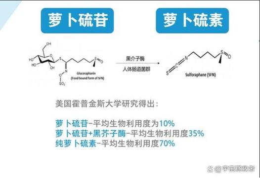 人参萝卜硫苷最忌三种药