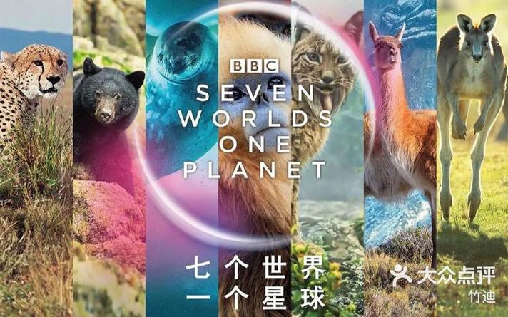 七个星球普通话版免费观看截图