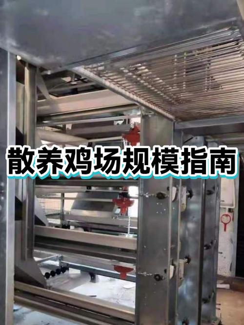 养鸡场联系方式100个截图