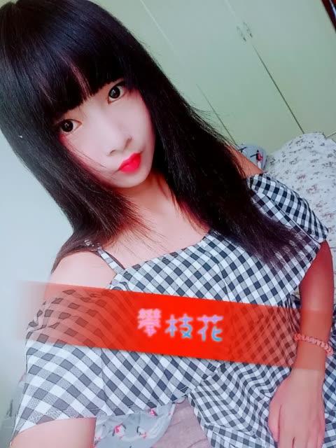 小春直播tv图标