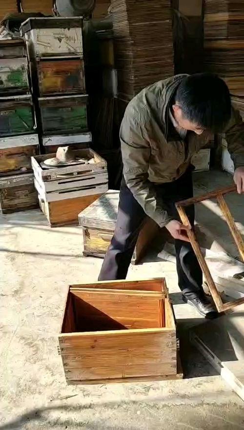 新手养蜂免费视频图标