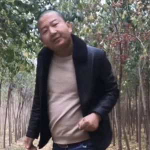 神鹰哥表情包gif图标