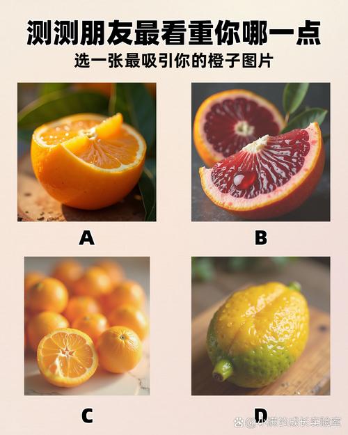 橘子试玩靠谱吗图标