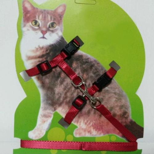 猫牵引绳怎么戴图标