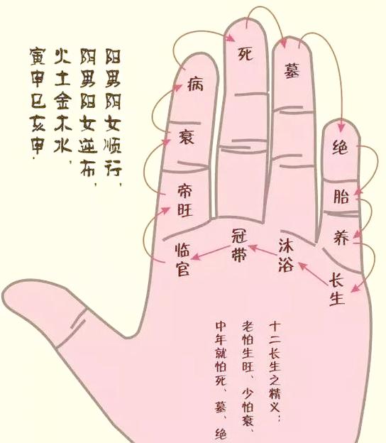大六壬掐指算法图标