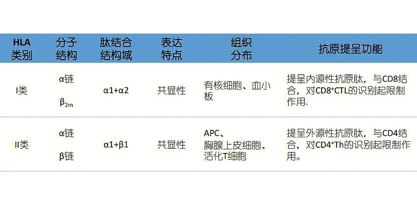 APC的功效与作用图标