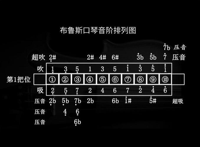 口琴选什么调的好图标