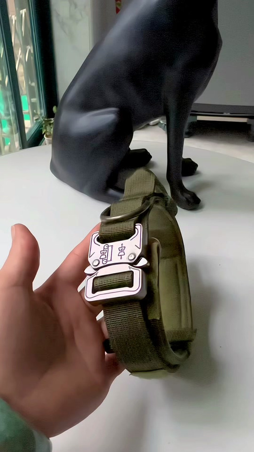 项圈m款牵引绳截图