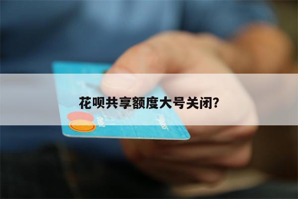 大号的花呗转小号图标