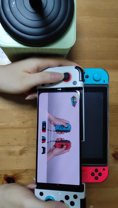 蛋蛋模拟器直装版图标